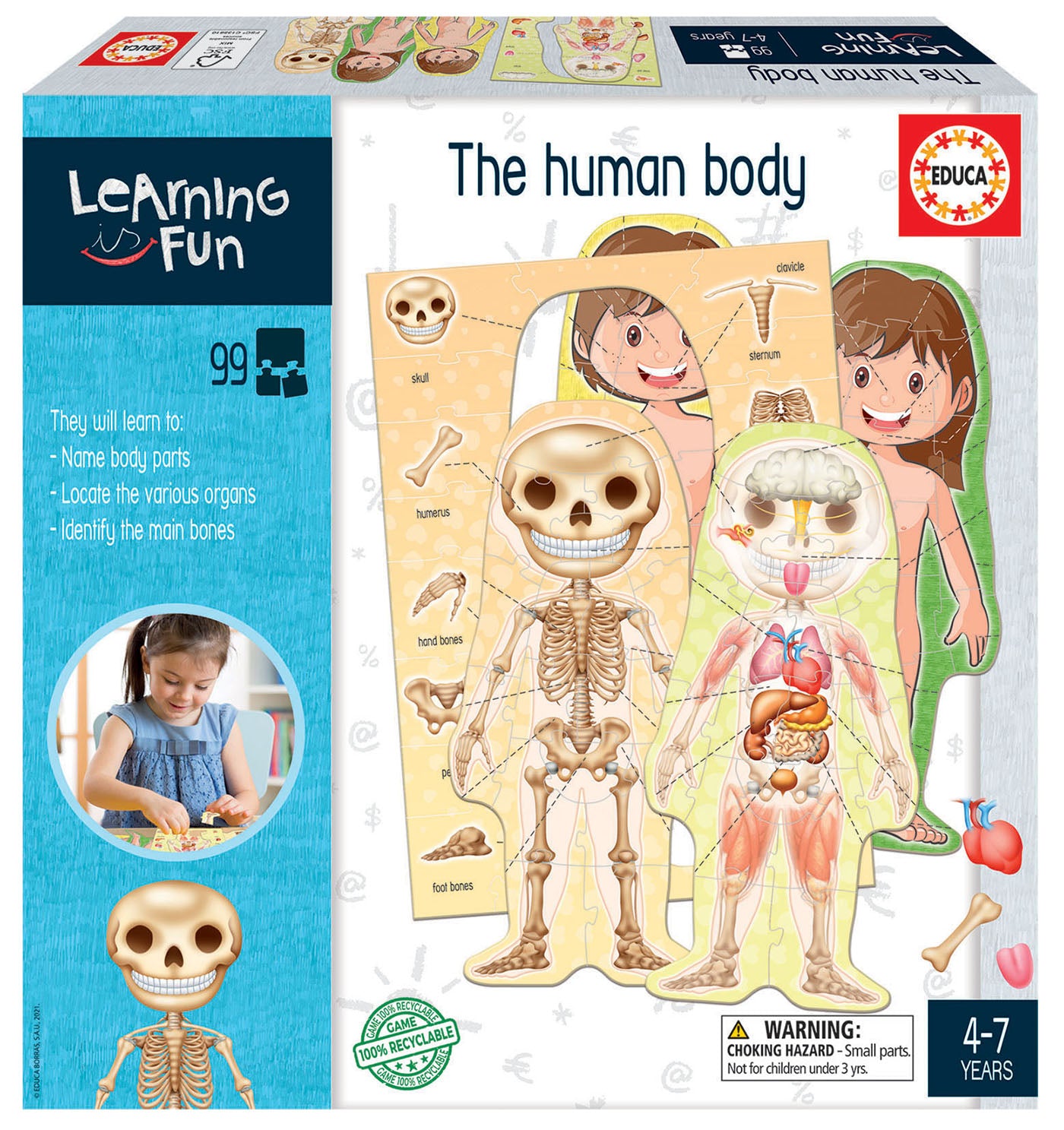 The Human Body | EurekaPuzzles
