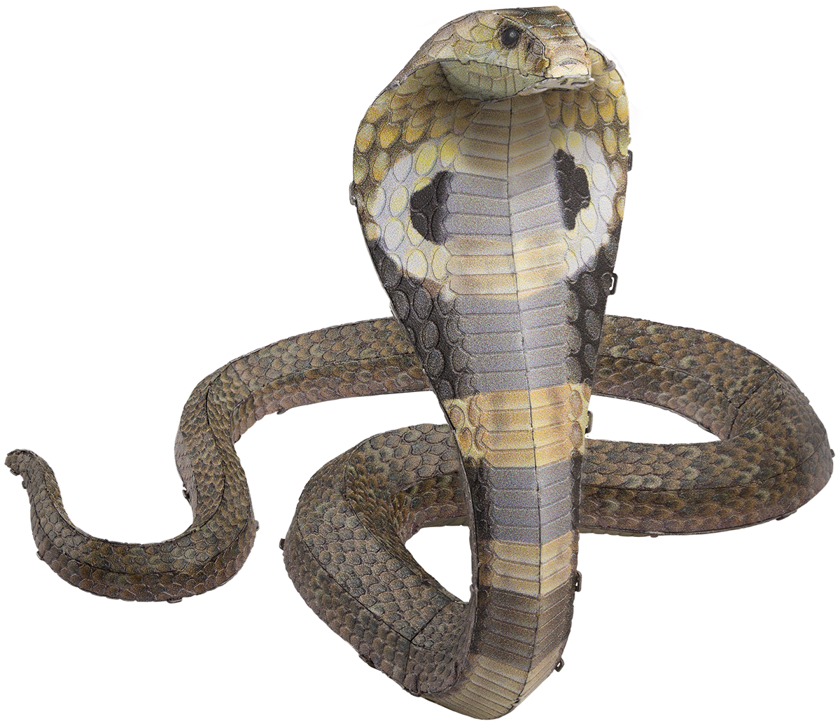 Cobra | EurekaPuzzles