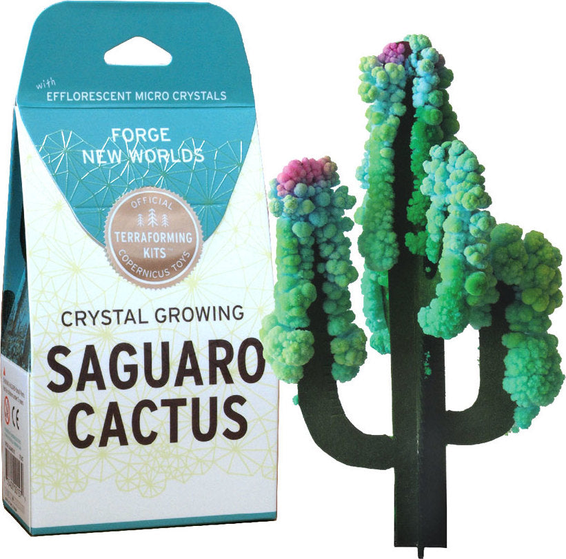 Crystal Growing Saguro Cactus | EurekaPuzzles