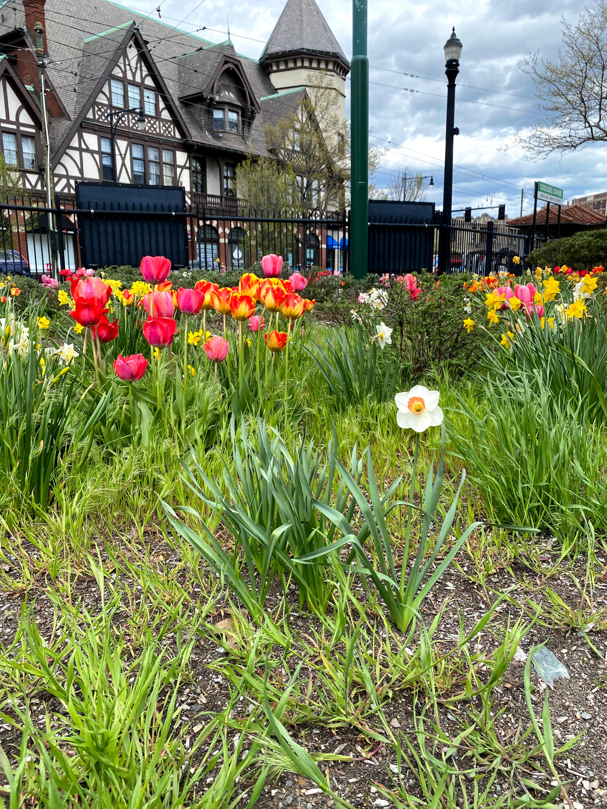 Eureka Puzzles & Games; Intelligent Entertainment and Custom Jigsaws | EurekaPuzzles