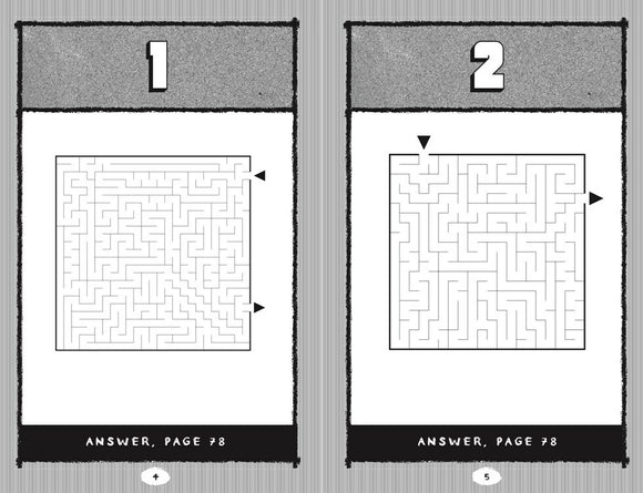 Picture Maze Puzzles for Vacation by Sterling | EurekaPuzzles
